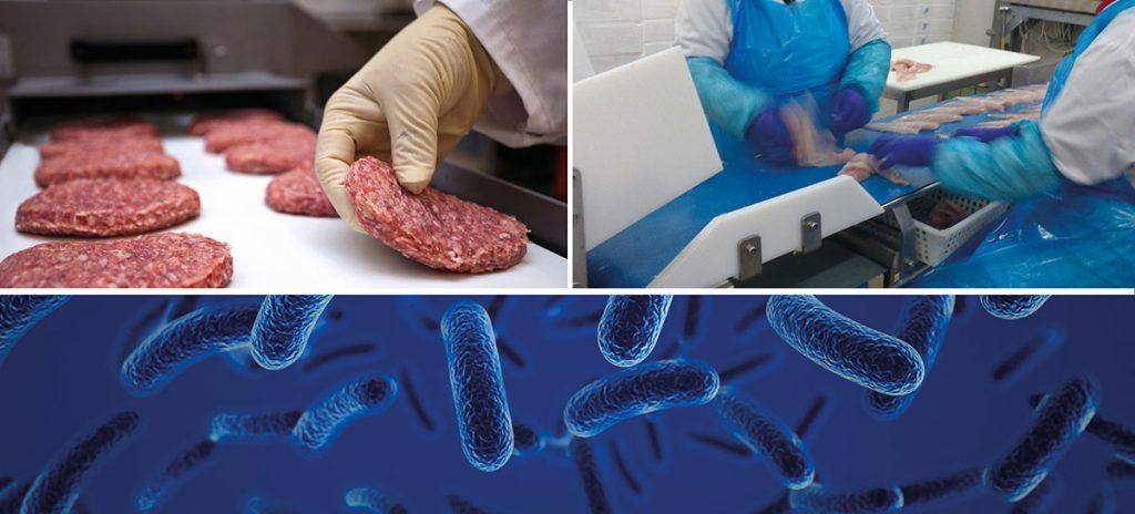 Food Conveyor Belts - Esbelt Conveyor Belts for Food Applications